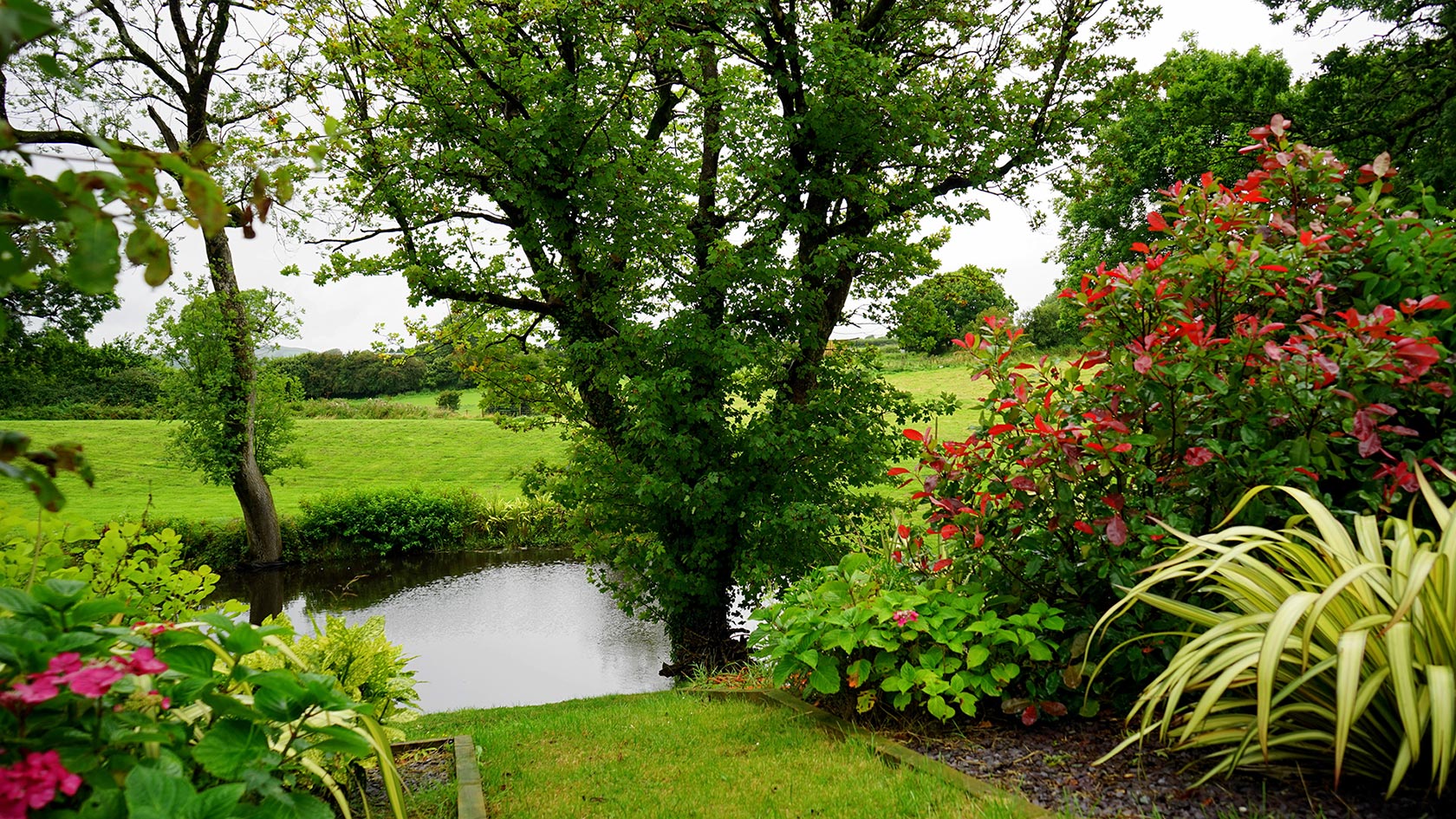 page-header - Emerald Plants